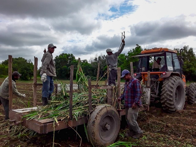 Produtores rurais de Três Vendas tem cursos de capacitação Folha1 ...